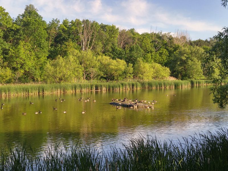 A Hidden Pond | Smithsonian Photo Contest | Smithsonian Magazine