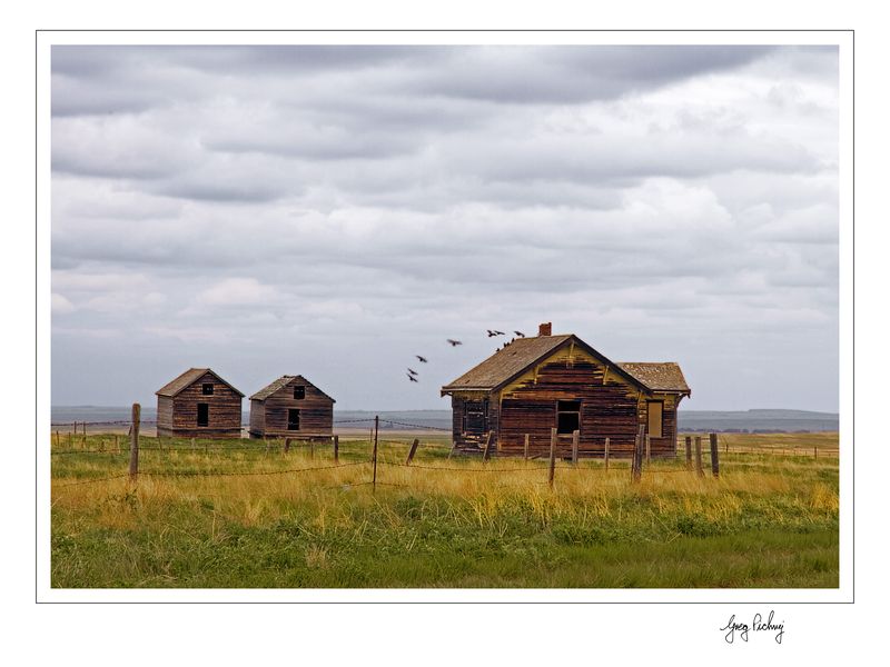 "Prairie Farmhouse and Storage Sheds" While driving around in the ...