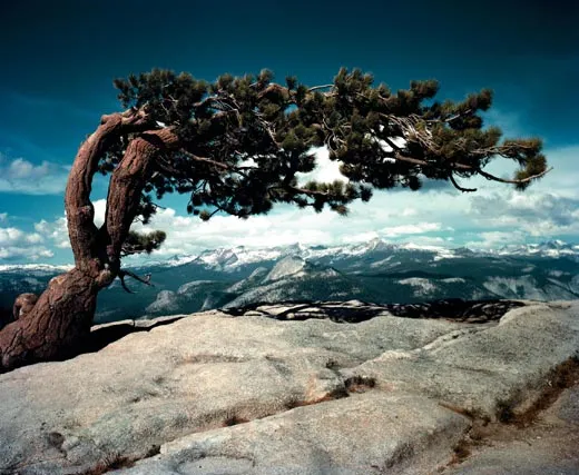 ansel adams colour photography