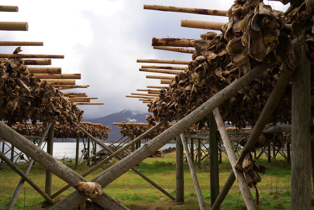 Cod Stands in Norway | Smithsonian Photo Contest | Smithsonian Magazine