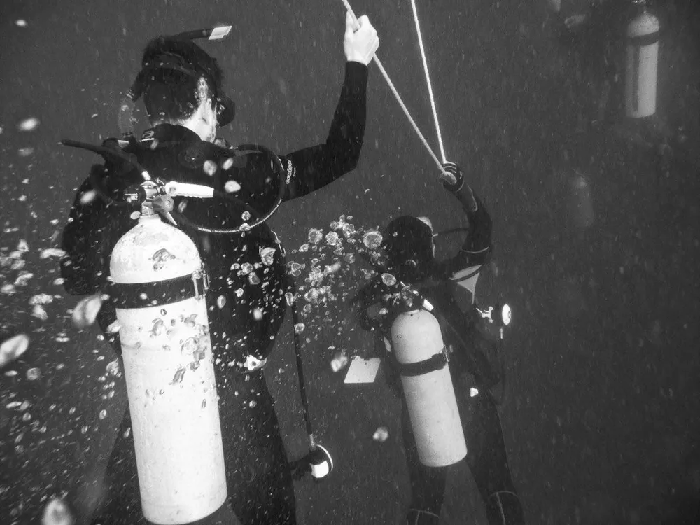 Diligent divers on a shot line descent. Australia | Smithsonian Photo ...