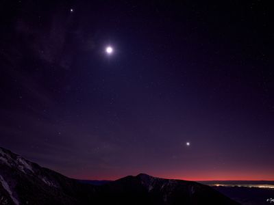 Spot the Difference | Smithsonian