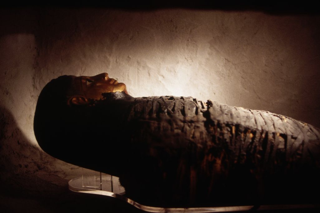 Mummies From Around the World Had Hardened Arteries