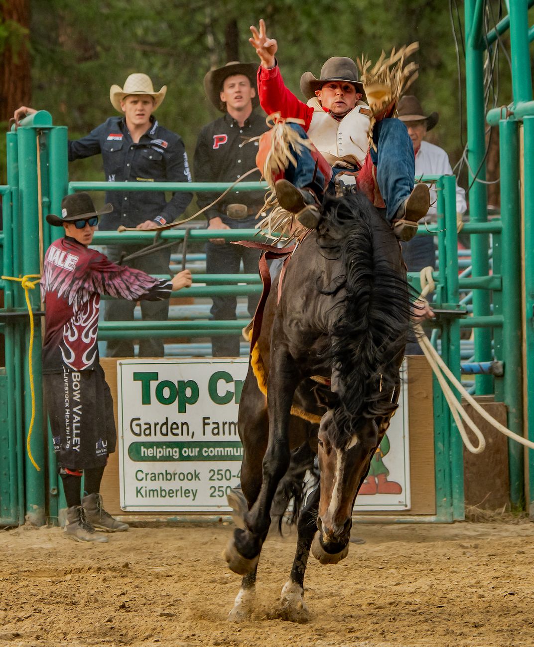 Bareback Bronc 2 | Smithsonian Photo Contest | Smithsonian Magazine