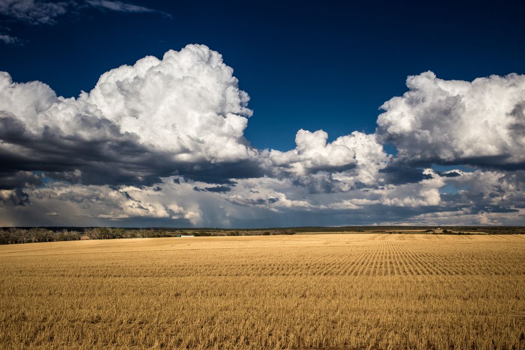 Amber Waves | Smithsonian Photo Contest | Smithsonian Magazine