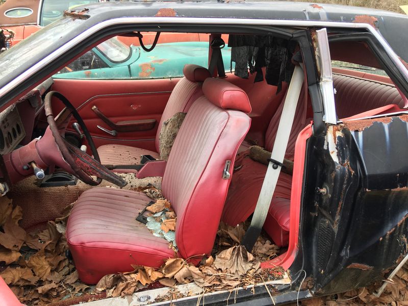 Interior of damaged automobile | Smithsonian Photo Contest ...