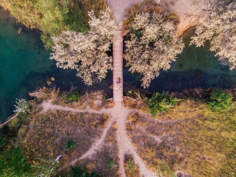 Tree of Life | Smithsonian Photo Contest | Smithsonian Magazine
