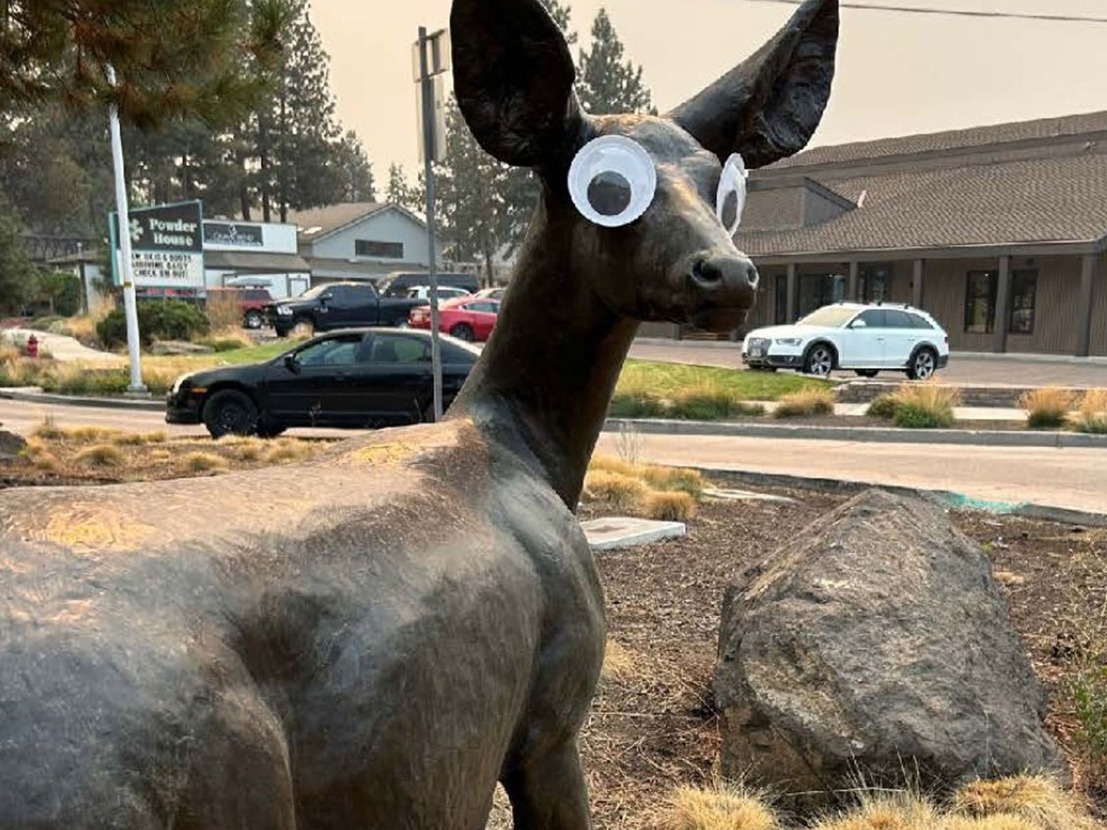This Man Says He's the Mysterious 'Googly-Eye Bandit' in Bend, Oregon
