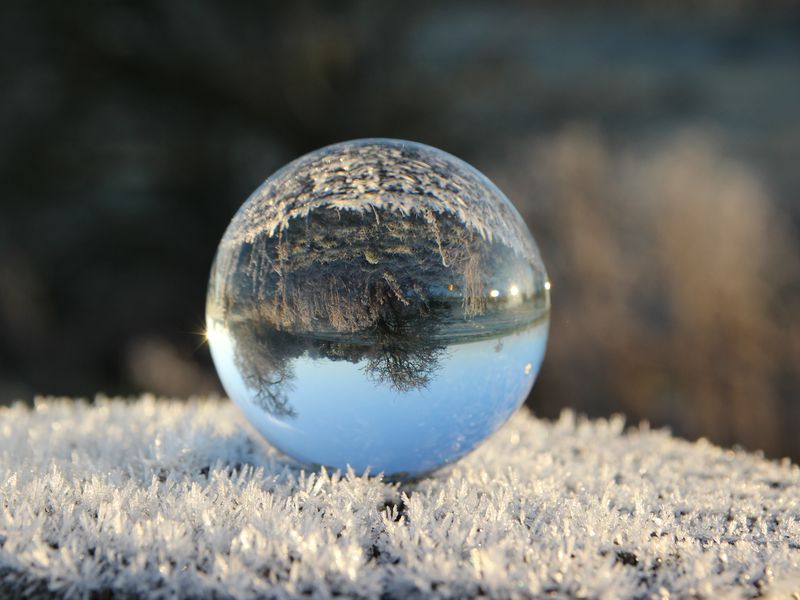 A Heavy Frost | Smithsonian Photo Contest | Smithsonian Magazine