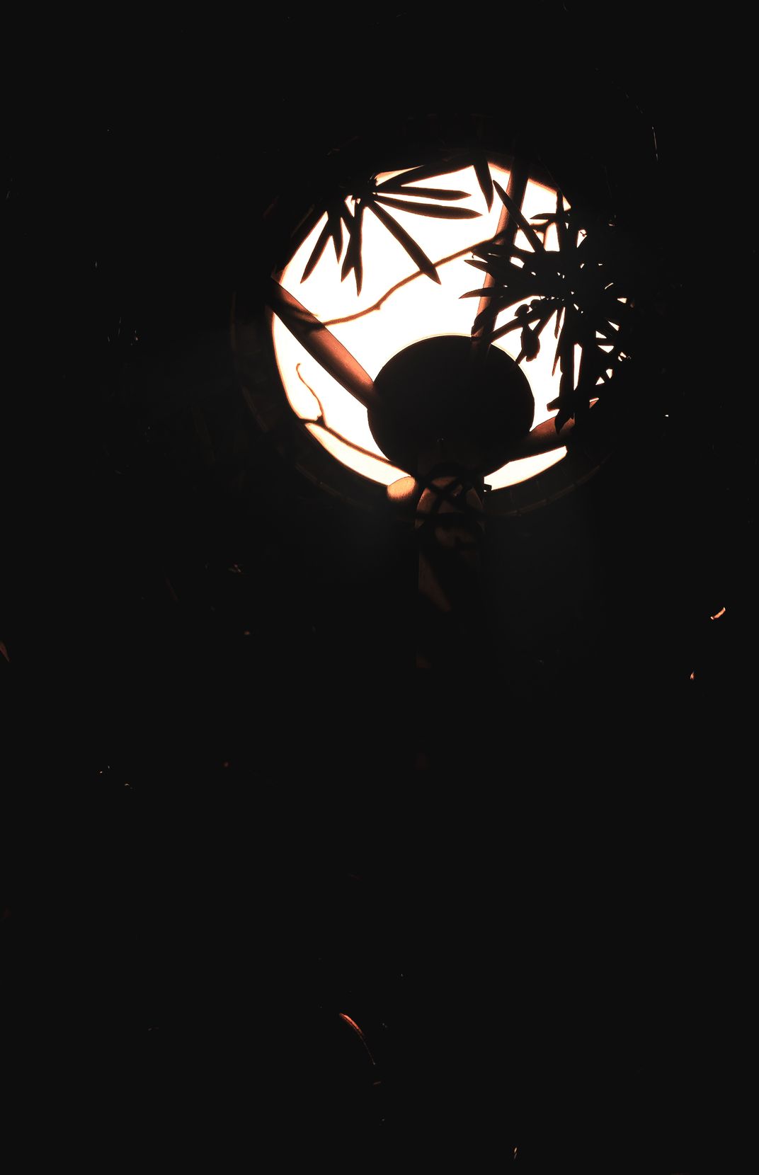 Street Lamp Post Photography at Night. | Smithsonian Photo Contest ...