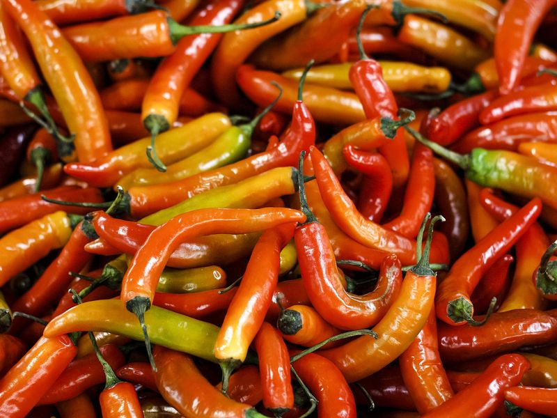 Red Chillies | Smithsonian Photo Contest | Smithsonian Magazine