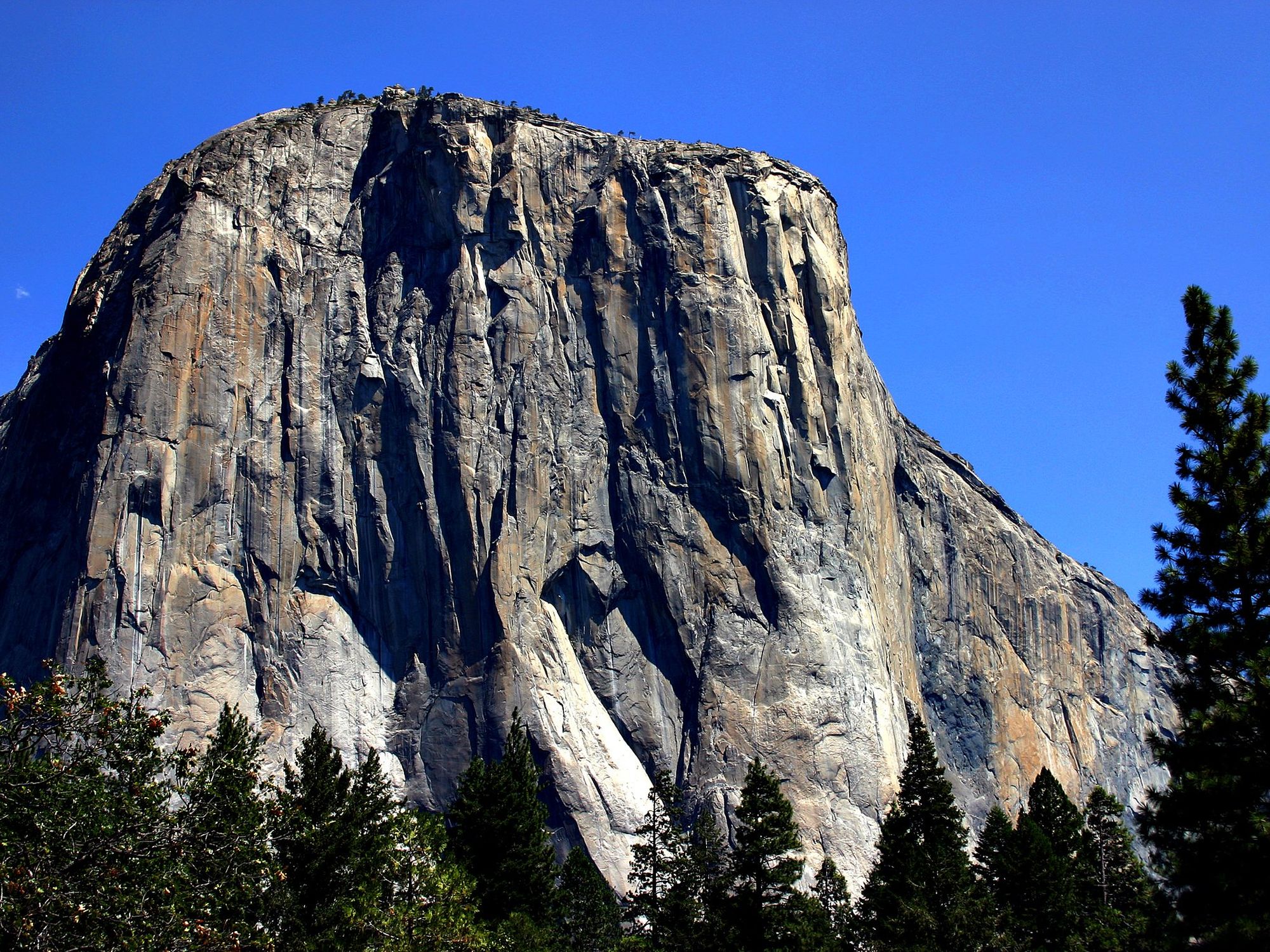 This 8-Year-Old Boy Became the Youngest Person to Ascend El Capitan