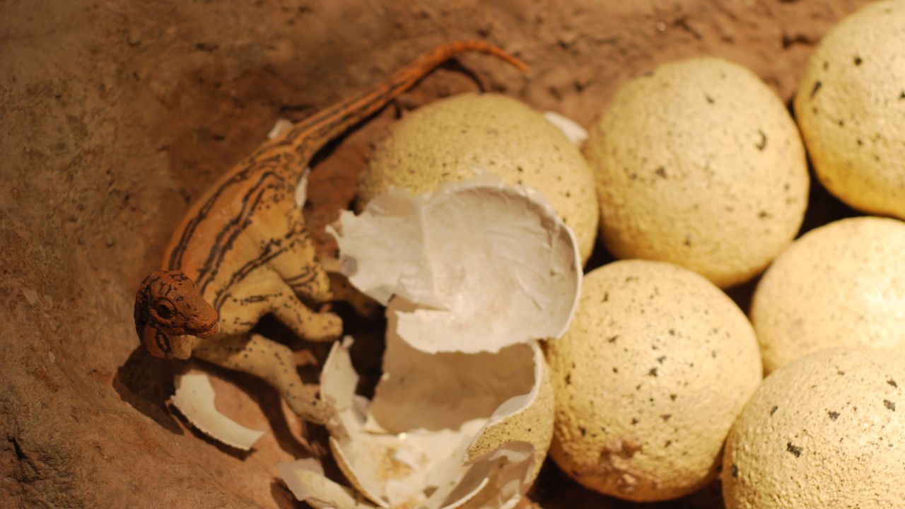 did baby dinosaurs drink milk