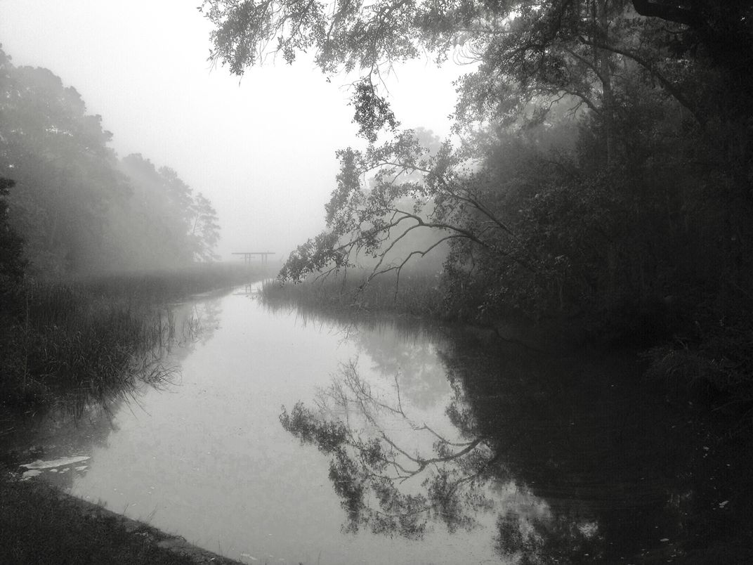 Fog on the marsh just before dawn. | Smithsonian Photo Contest ...