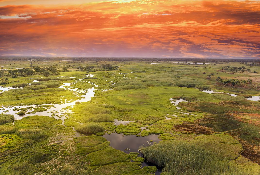 Okavango Delta Botswana Unesco World Heritage World Botswana,