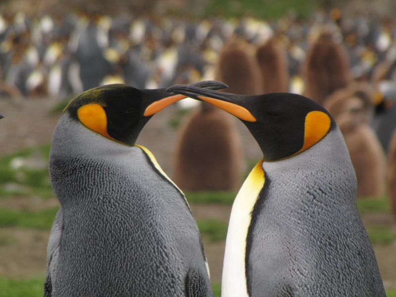 Symmetry in Nature | Smithsonian Photo Contest | Smithsonian Magazine