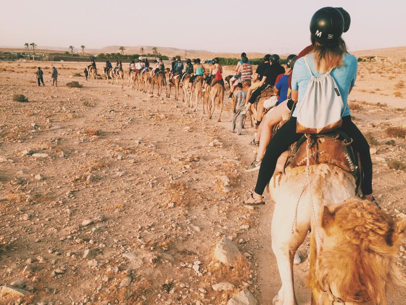 Camel Back Riding in Israel | Smithsonian Photo Contest | Smithsonian ...