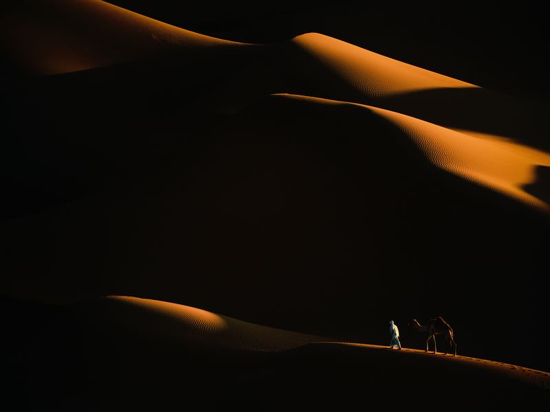 DESERT WAVE | Smithsonian Photo Contest | Smithsonian Magazine