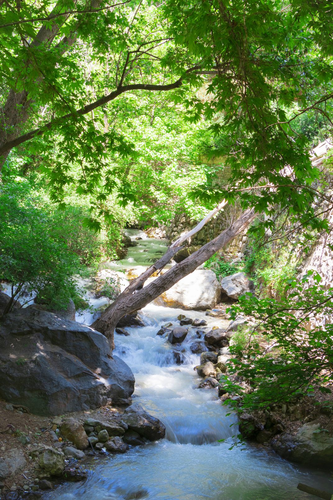 Water flow in nature | Smithsonian Photo Contest | Smithsonian Magazine