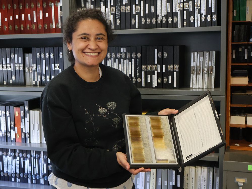 Meet the Scientist Digitizing Millions of Fossilized Pollen Grains to ...