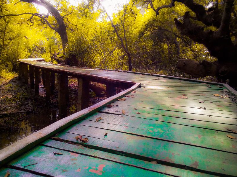 Wooden path bridge | Smithsonian Photo Contest | Smithsonian Magazine