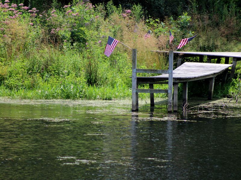 American Flags on display on dock in small pond | Smithsonian Photo ...