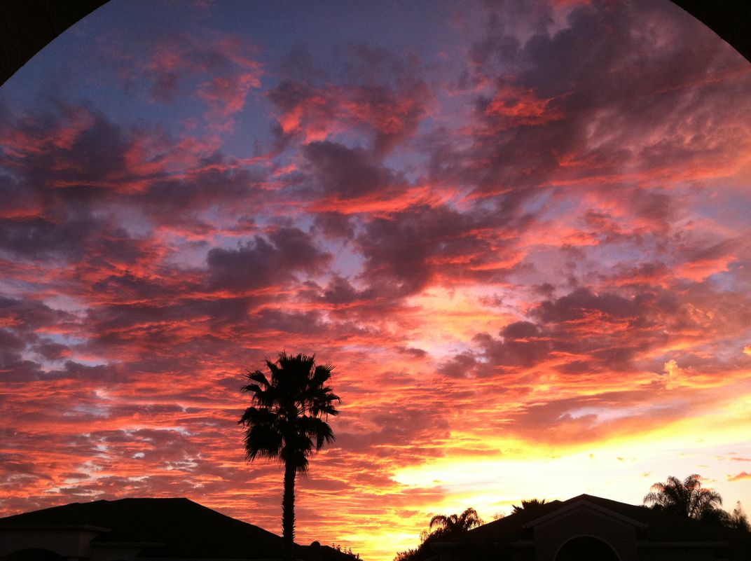 A Sunset Dream of Colors | Smithsonian Photo Contest | Smithsonian Magazine