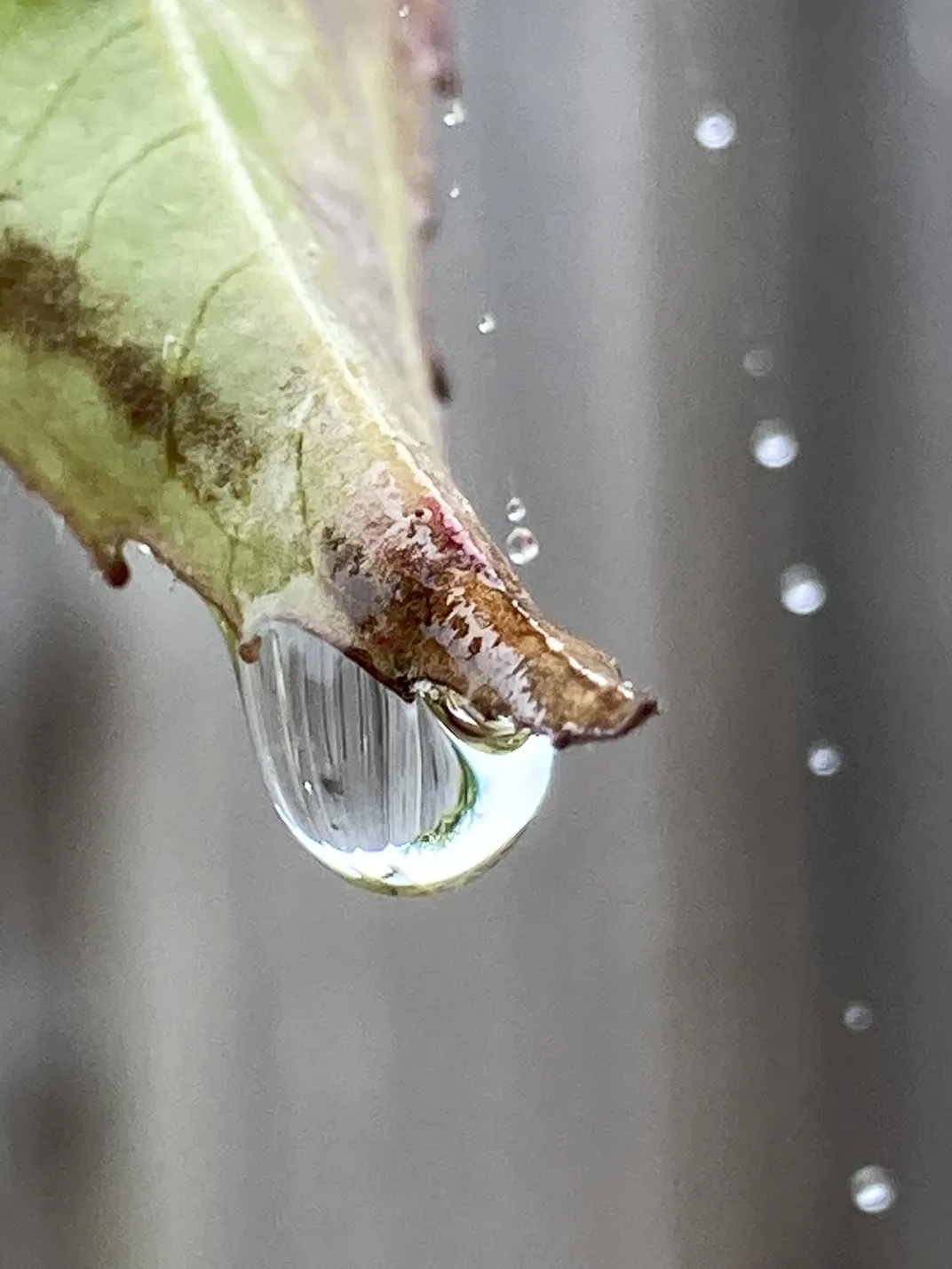 Mother Nature's Fishbowl | Smithsonian Photo Contest | Smithsonian Magazine