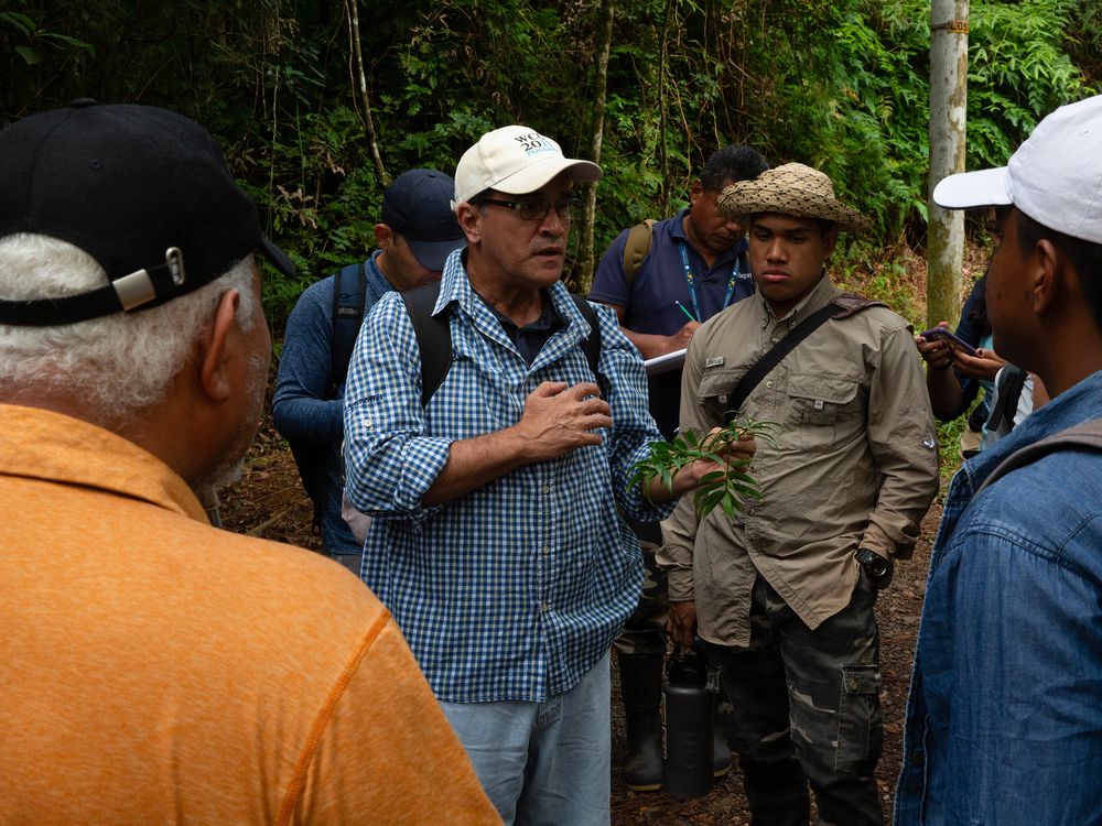 A New Course by ForestGEO Experts Teaches the Biodiversity of ...