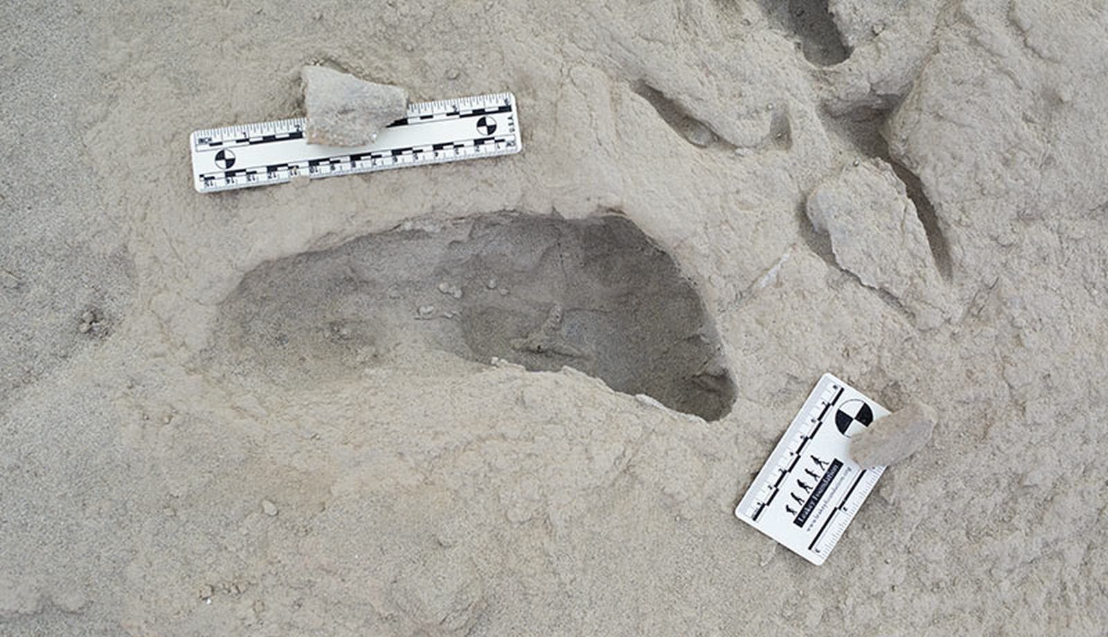 Footprints Reveal Two Early Human Species Walked the Same Lakeshore in ...