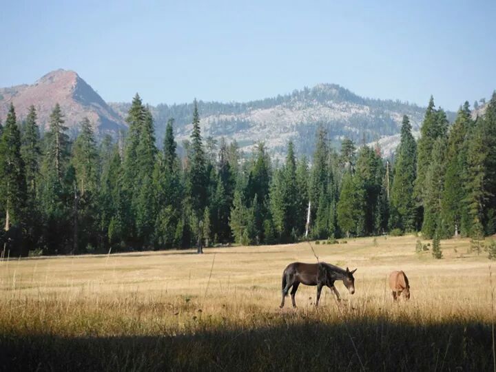 Backpacking Trinity National Park | Smithsonian Photo Contest ...