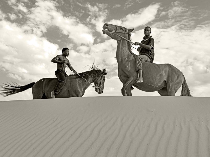 Driving to Bokspits with my family when we came across these goat herd ...