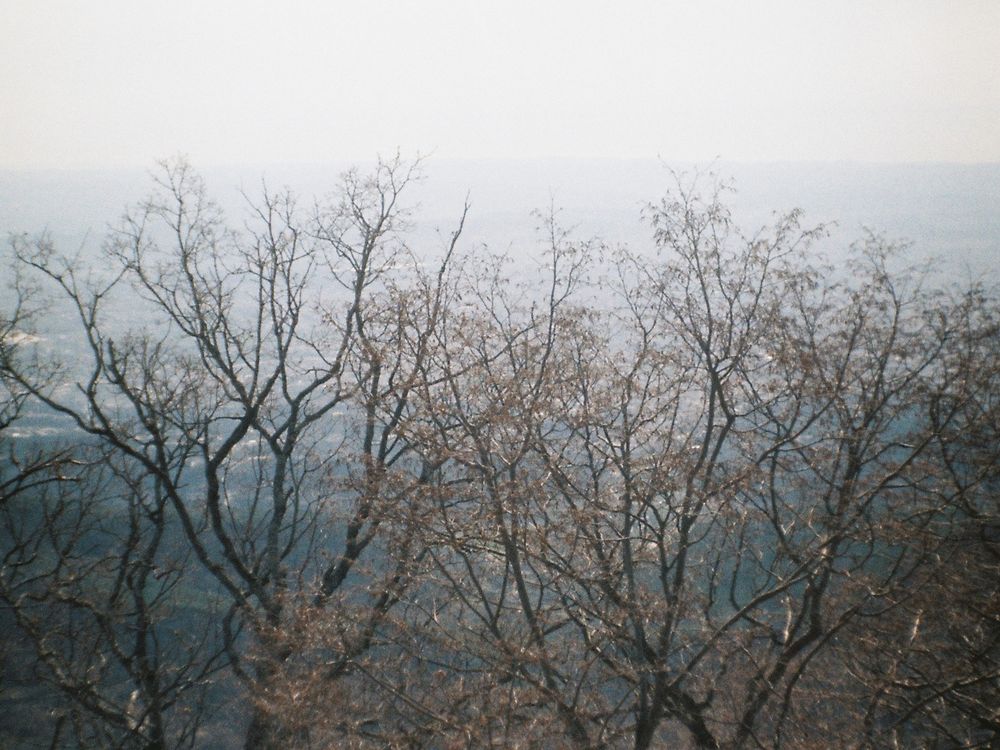 To Tirana | Smithsonian Photo Contest | Smithsonian Magazine