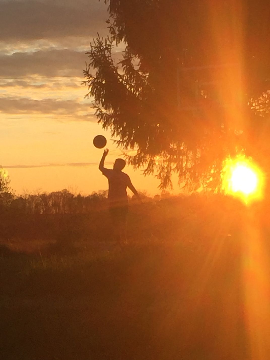 Basketball at sunset | Smithsonian Photo Contest | Smithsonian Magazine