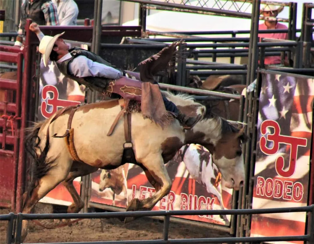 Bronco Busting | Smithsonian Photo Contest | Smithsonian Magazine
