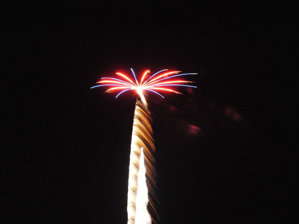 Palm Tree Firework | Smithsonian Photo Contest | Smithsonian Magazine