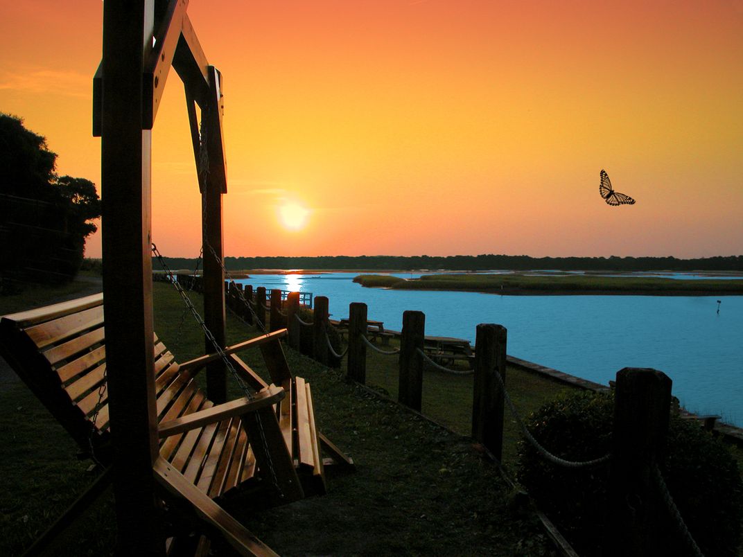Swing by the Lockwood Folly River. | Smithsonian Photo Contest ...