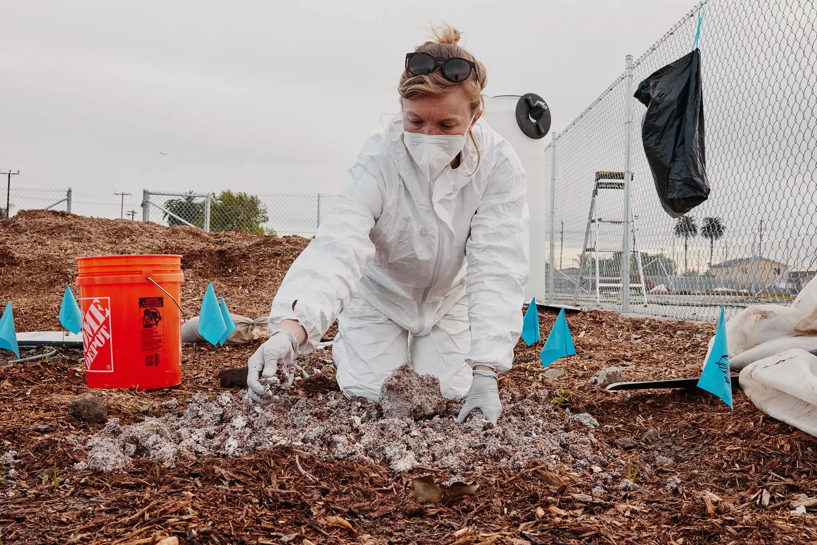 Can Scientists Harness the Magic of Mushrooms to Clean Up Polluted ...