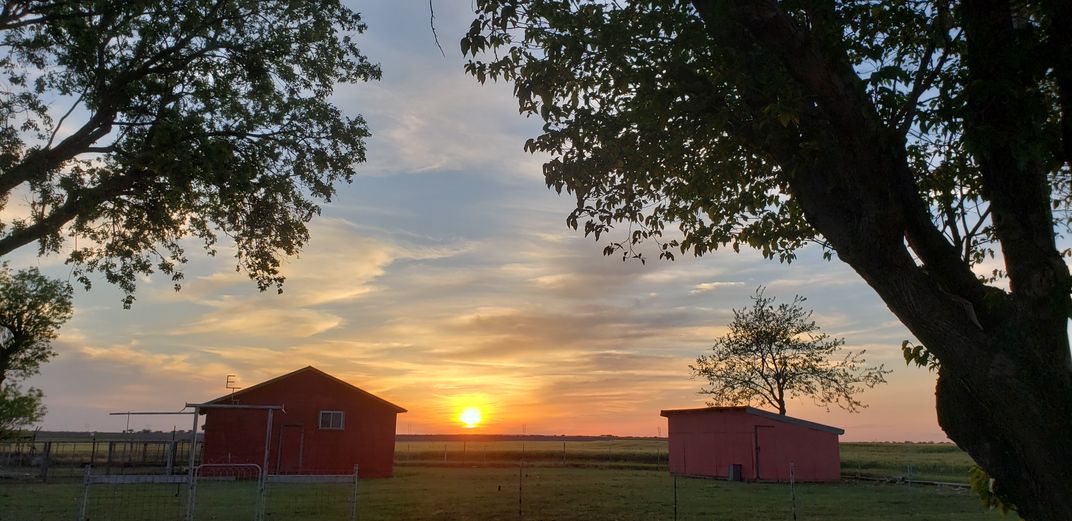 My backyard sunset. | Smithsonian Photo Contest | Smithsonian Magazine
