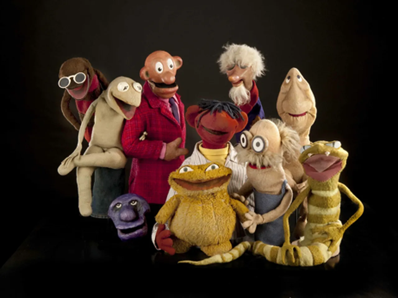 Jim Henson Kermit Traurig Young Kermit | Muppet Wiki | Fandom