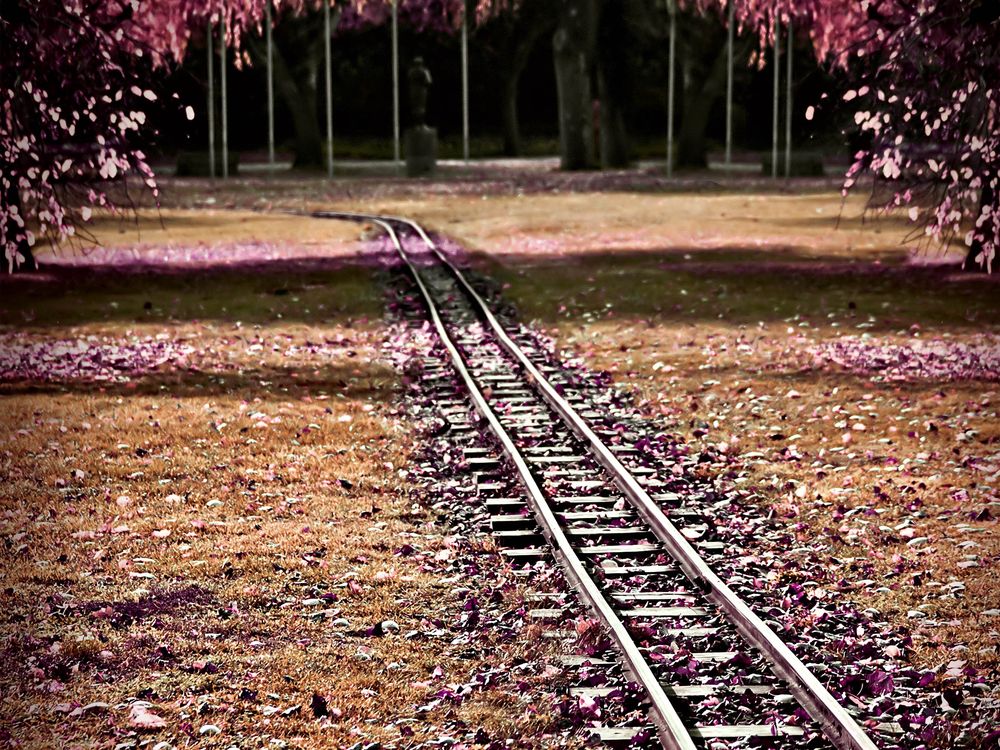 Red line | Smithsonian Photo Contest | Smithsonian Magazine