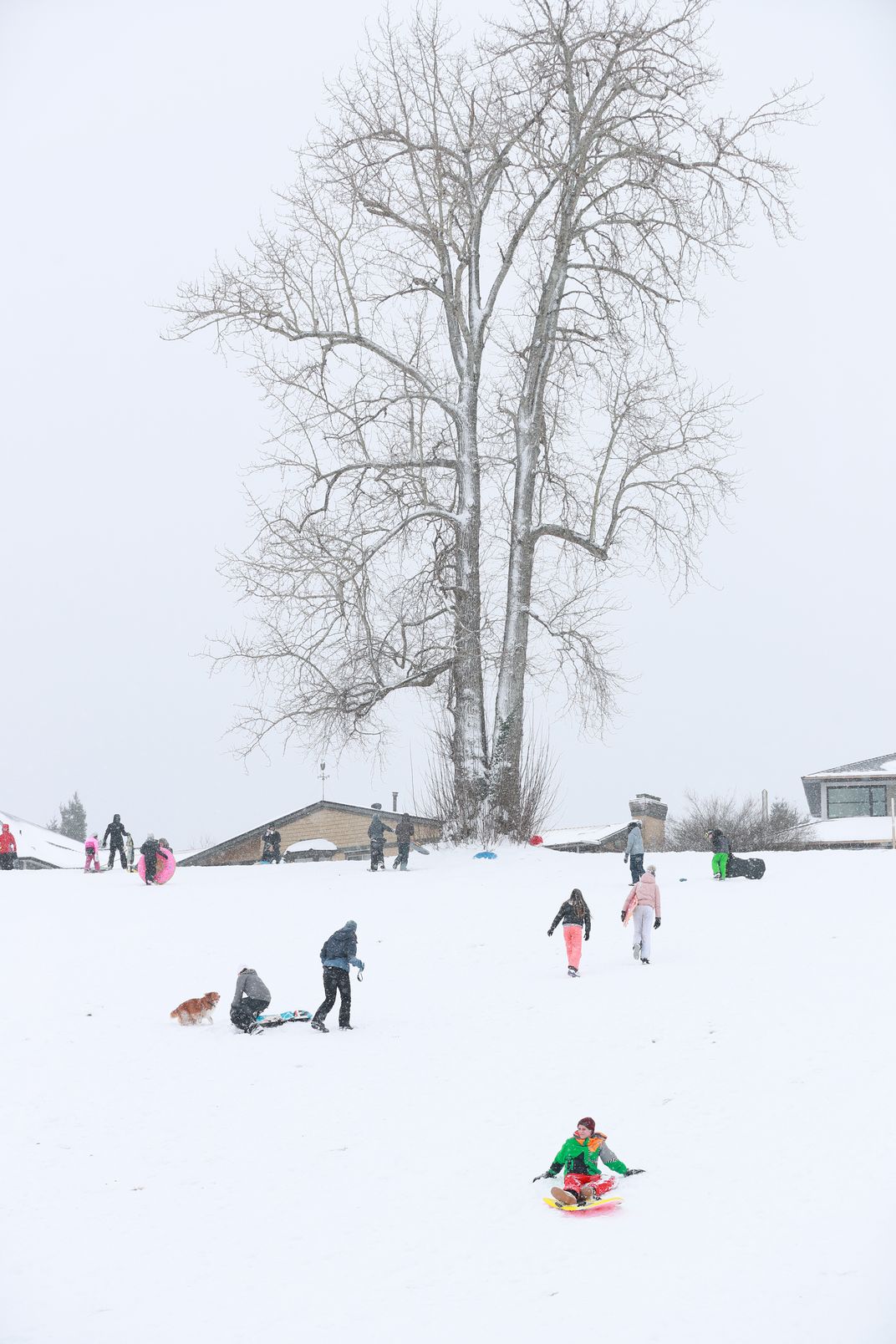snow day | Smithsonian Photo Contest | Smithsonian Magazine