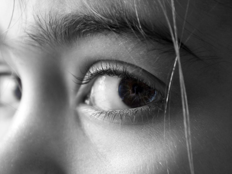 Grey Eyes | Smithsonian Photo Contest | Smithsonian Magazine