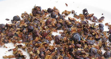 juniper berries uses