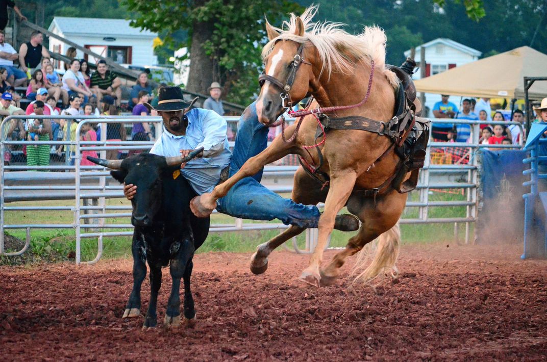 Steer wrestling at the Prince William County Fair, Manassas, Virginia ...