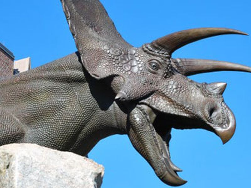 Jurassic Park Torosaurus Spielberg Was Right: New Research Reveals