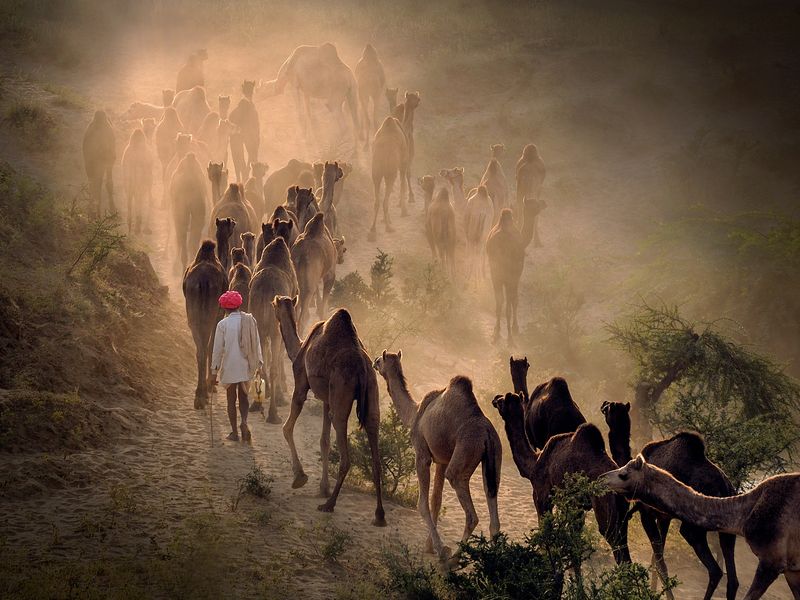 Ghosts of The Desert | Smithsonian Photo Contest | Smithsonian Magazine