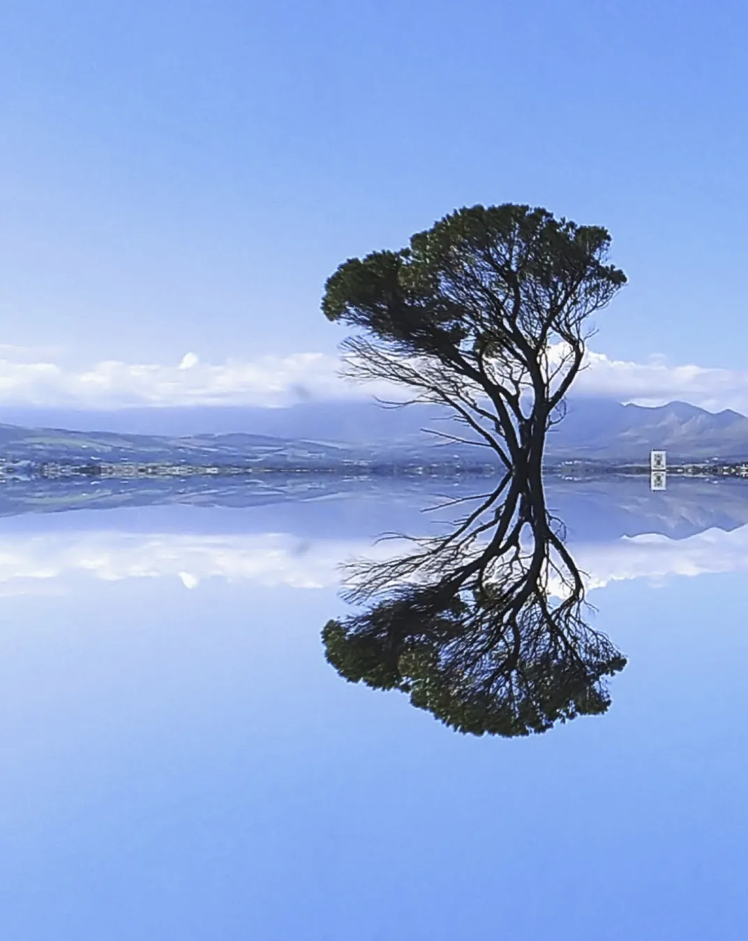 Solitary | Smithsonian Photo Contest | Smithsonian Magazine