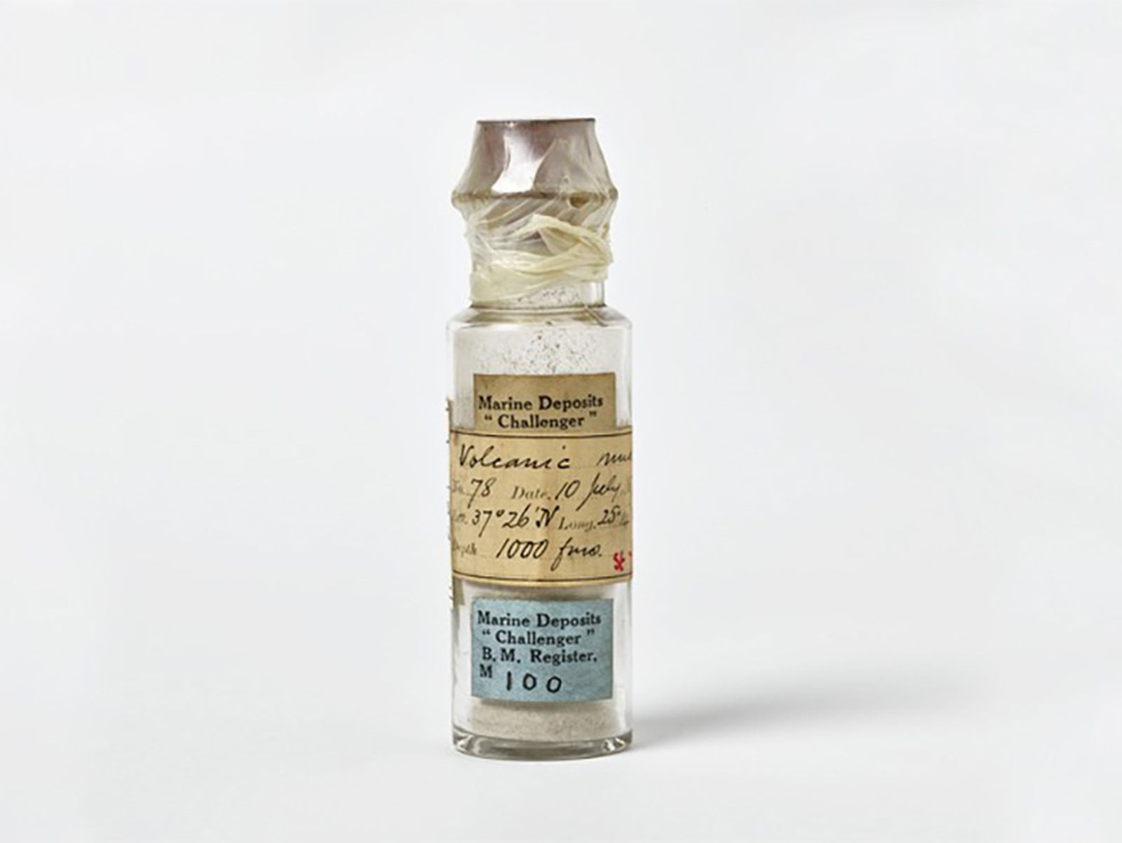 Museum’s 150-Year-Old Plankton Have Thicker Shells Than Their Modern ...