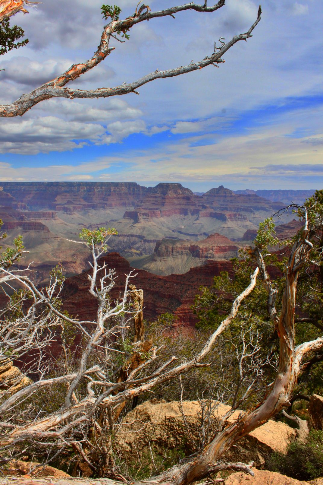 CANYON SHADOWS | Smithsonian Photo Contest | Smithsonian Magazine